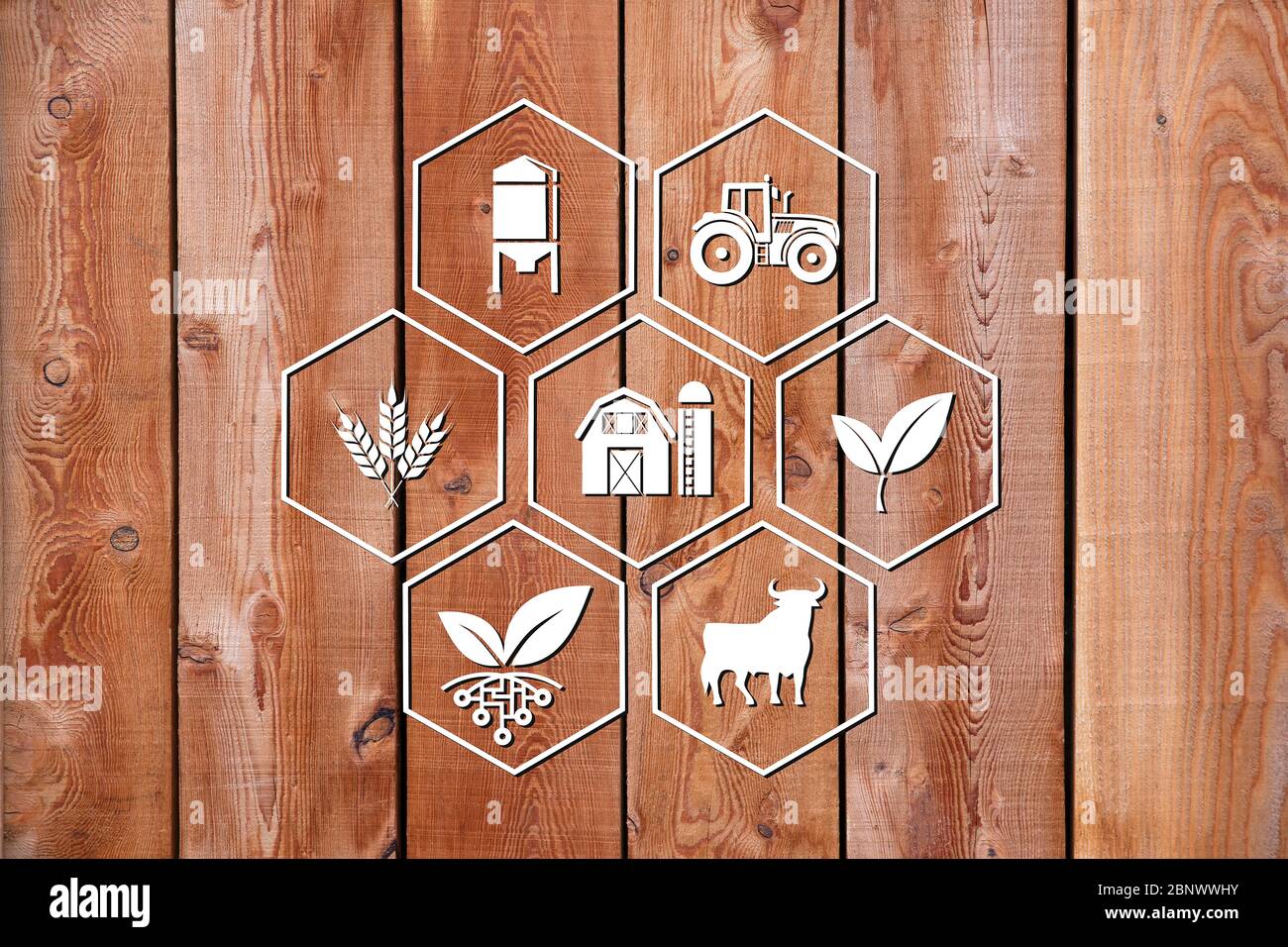 Icon of various symbols of agriculture Stock Photo - Alamy
