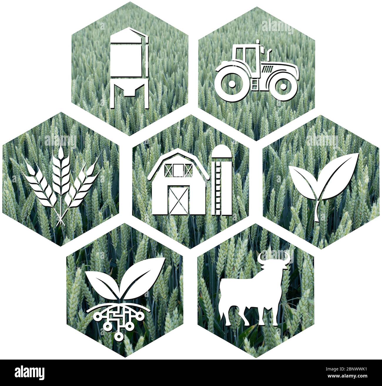 Icon of various symbols of agriculture Stock Photo - Alamy