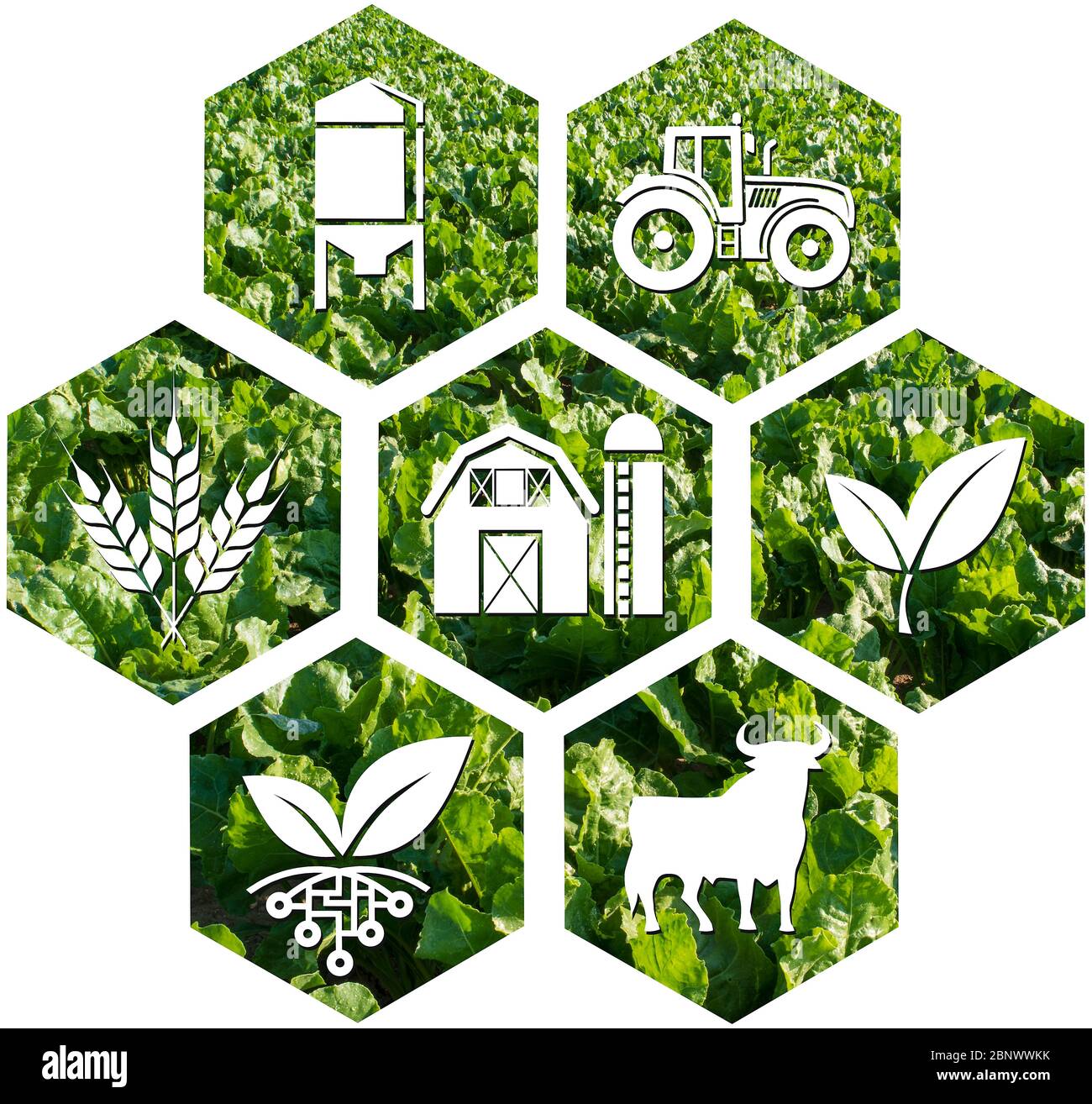 Icon of various symbols of agriculture Stock Photo - Alamy