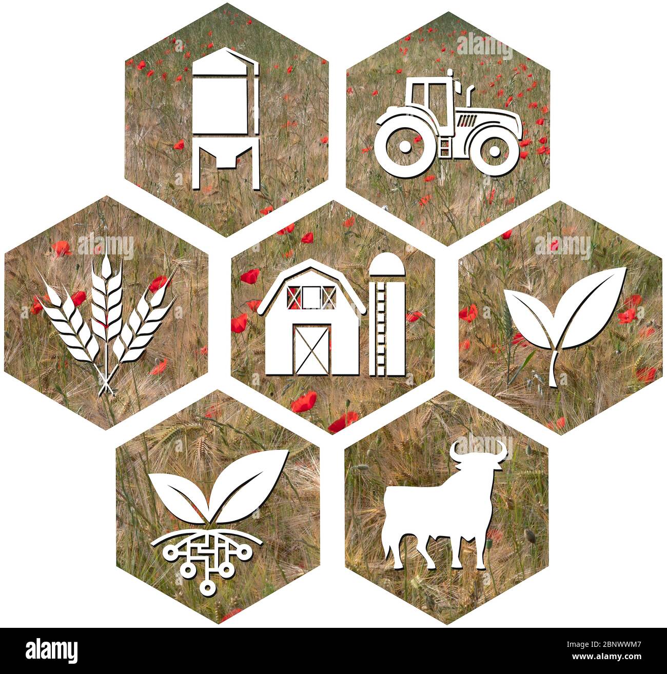 Icon of various symbols of agriculture Stock Photo - Alamy
