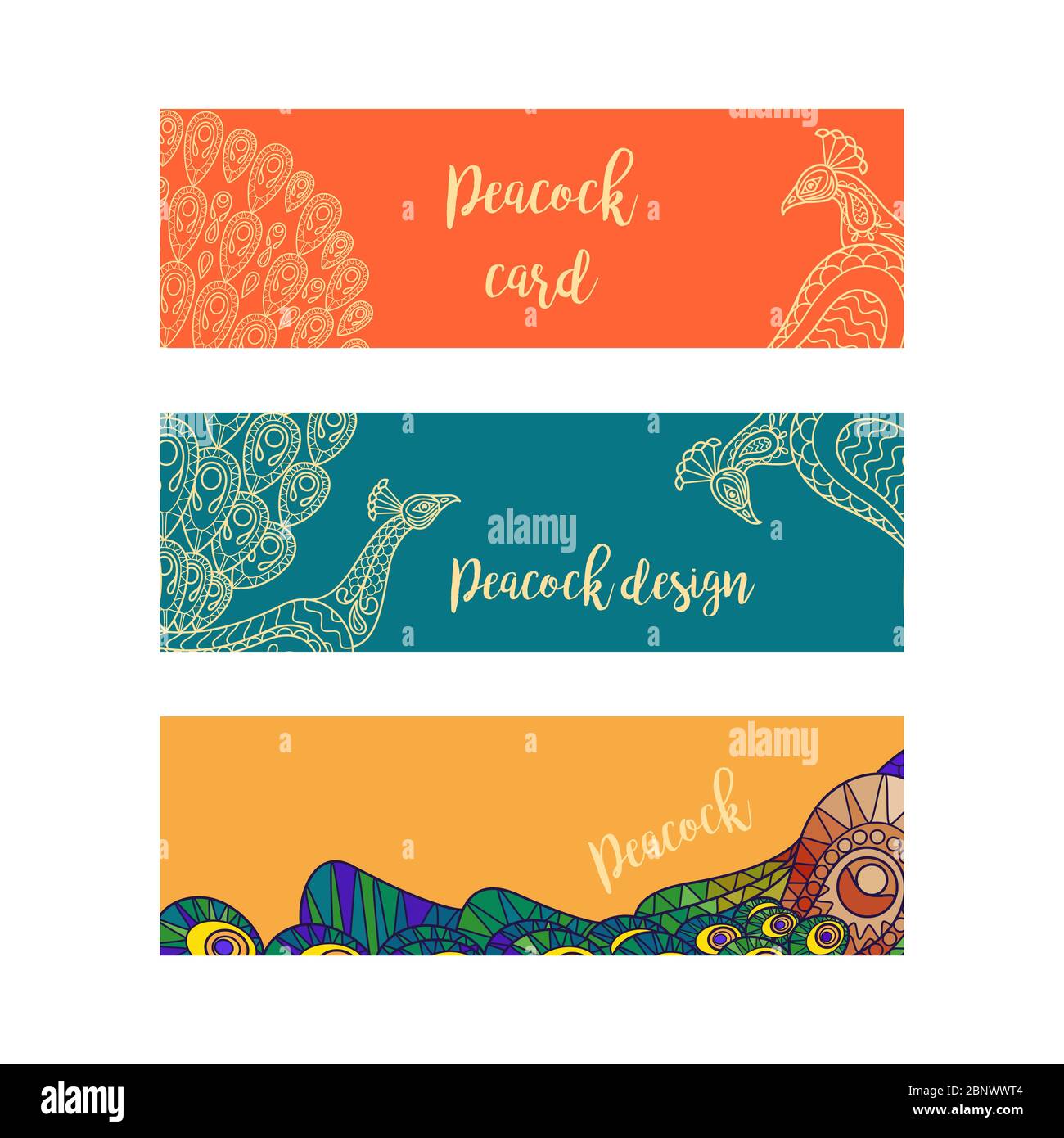 Horizontal colorful banners set with peacocks, vector illustration ...