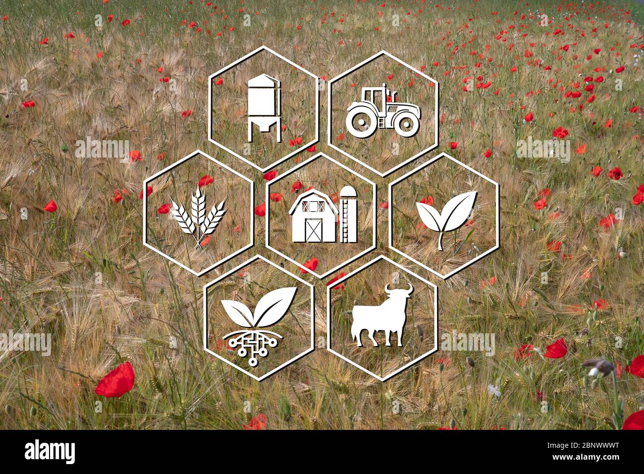Icon of various symbols of agriculture Stock Photo - Alamy