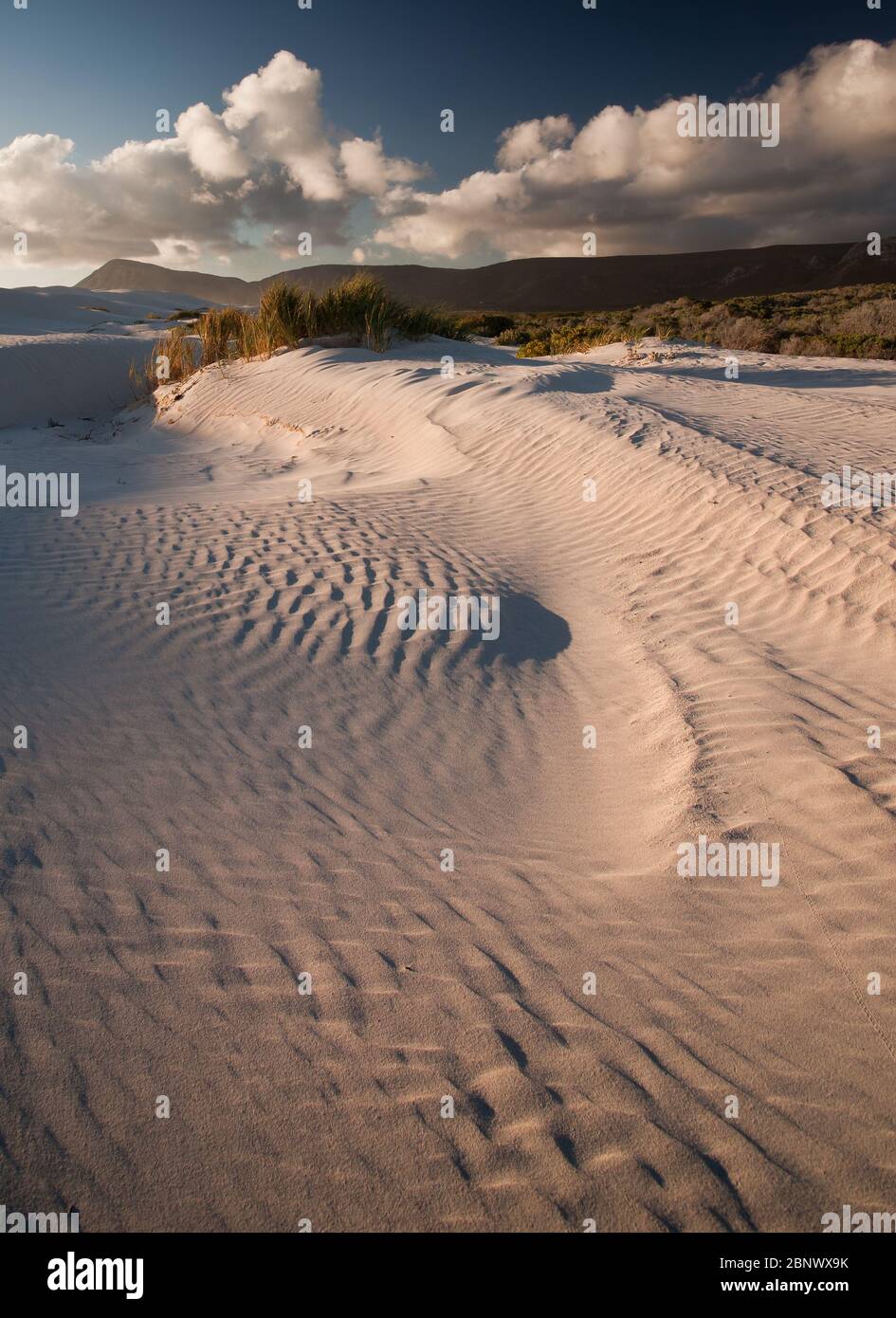 ripples in sand dunes landscape Stock Photo - Alamy