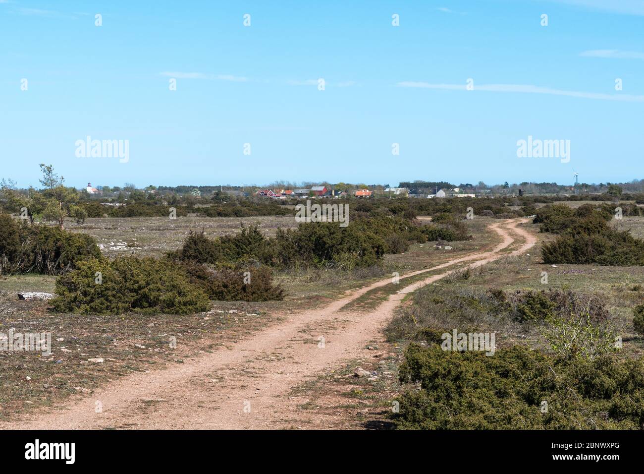 Winding dirt road in a barren alvar landscape by Drostorp nature ...