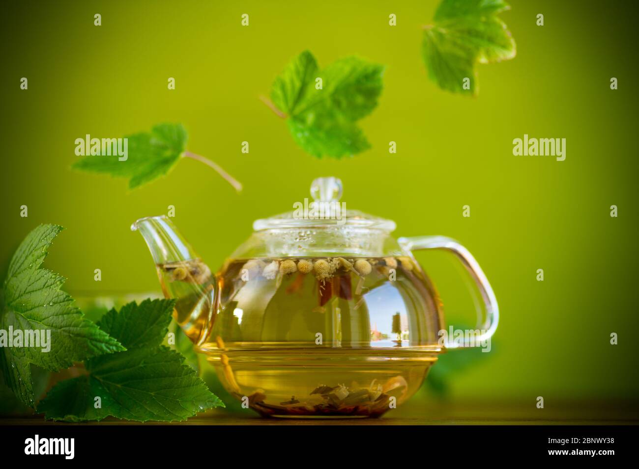 summer refreshing organic tea from currant leaves in a glass teapot ...