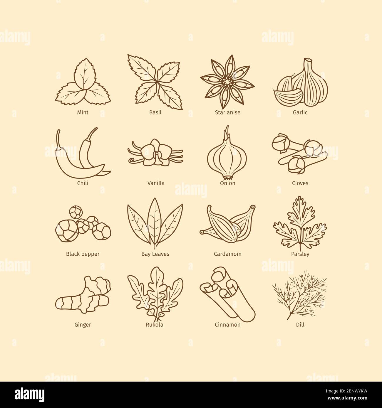 Indian spices Stock Vector Images - Alamy