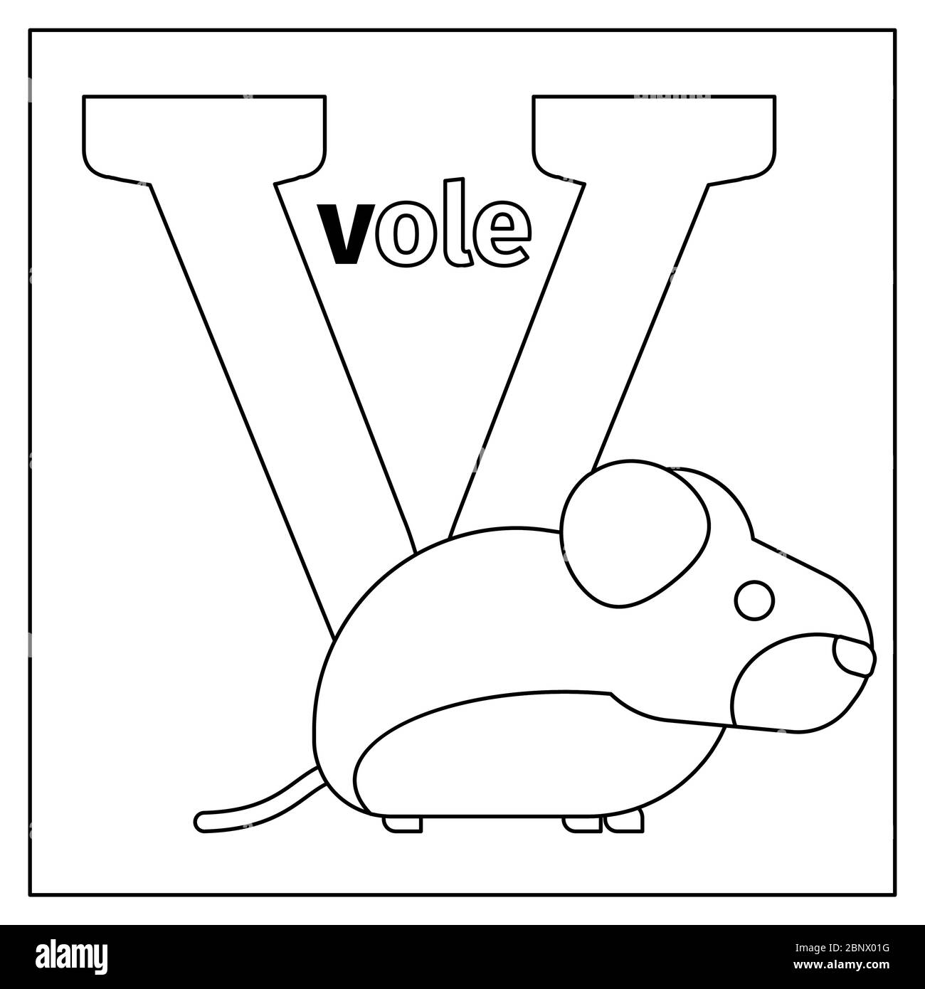 Animal Coloring Pages With The Letter V