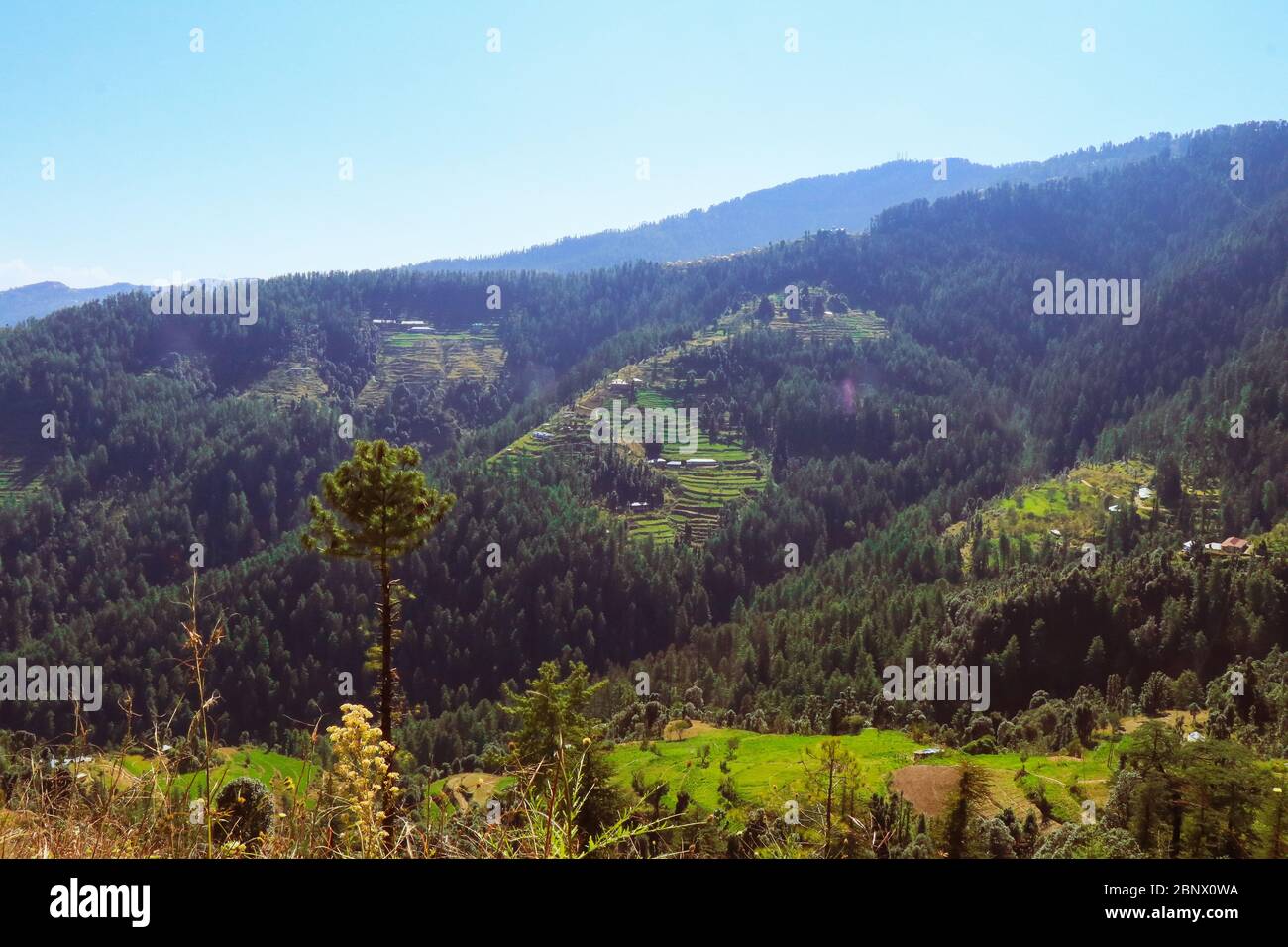 Step Farming High Resolution Stock Photography and Images - Alamy