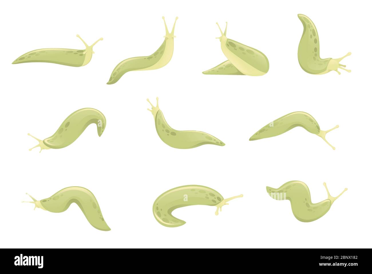 Set of green slug cartoon animal design flat vector illustration ...