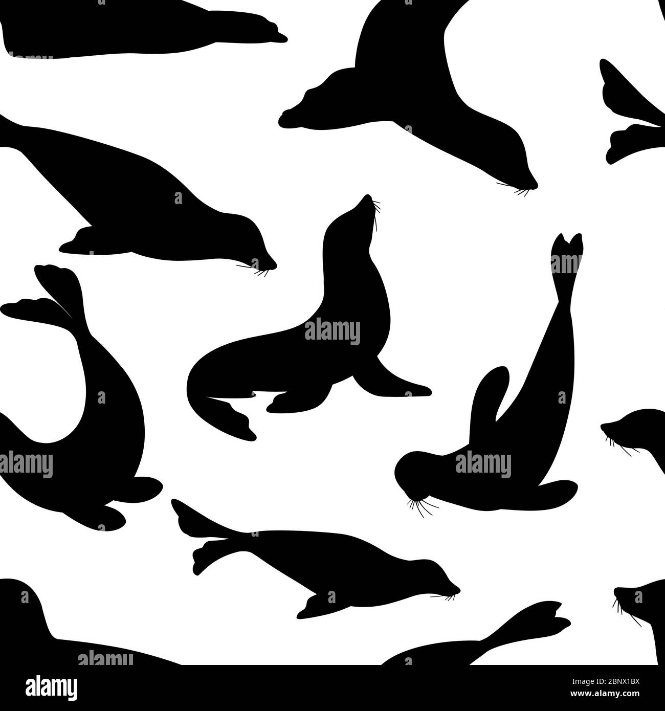 Animal baby water Black and White Stock Photos & Images - Alamy