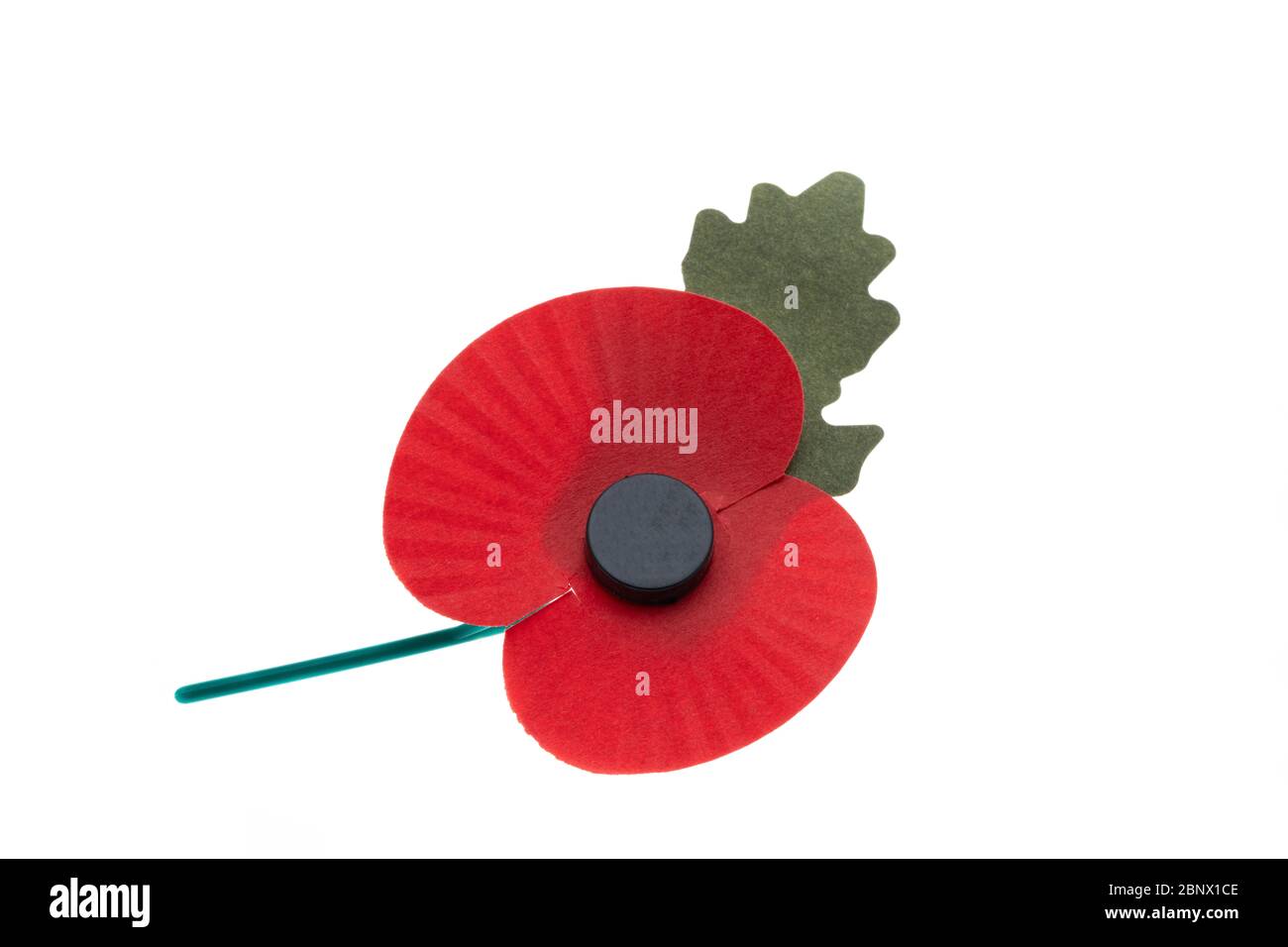 Remembrance poppy worn on Armistice day - white background Stock Photo ...