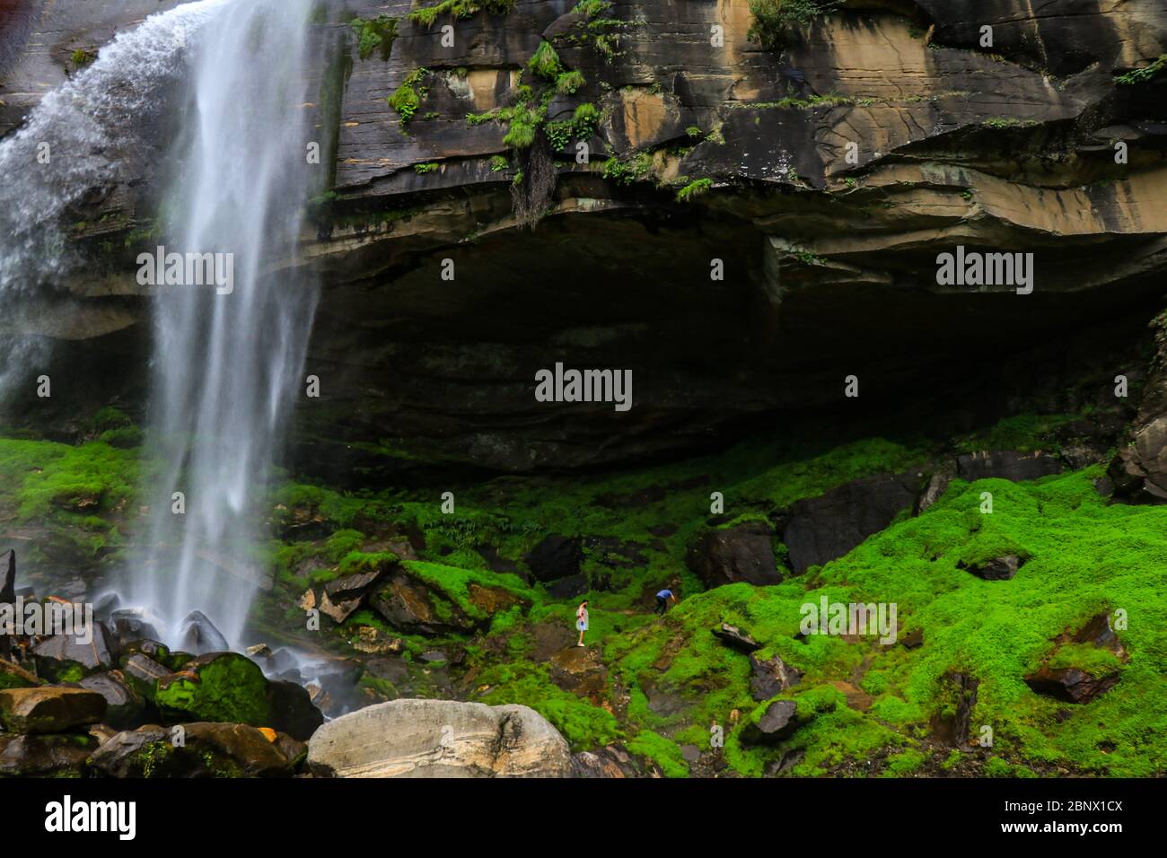 Jogni falls hi-res stock photography and images - Alamy
