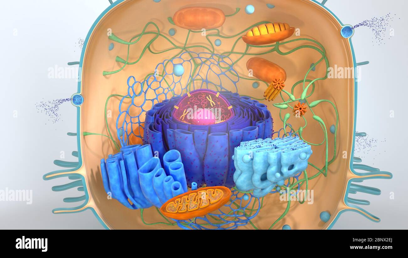 3d render. 3d illustration cell modell Stock Photo - Alamy