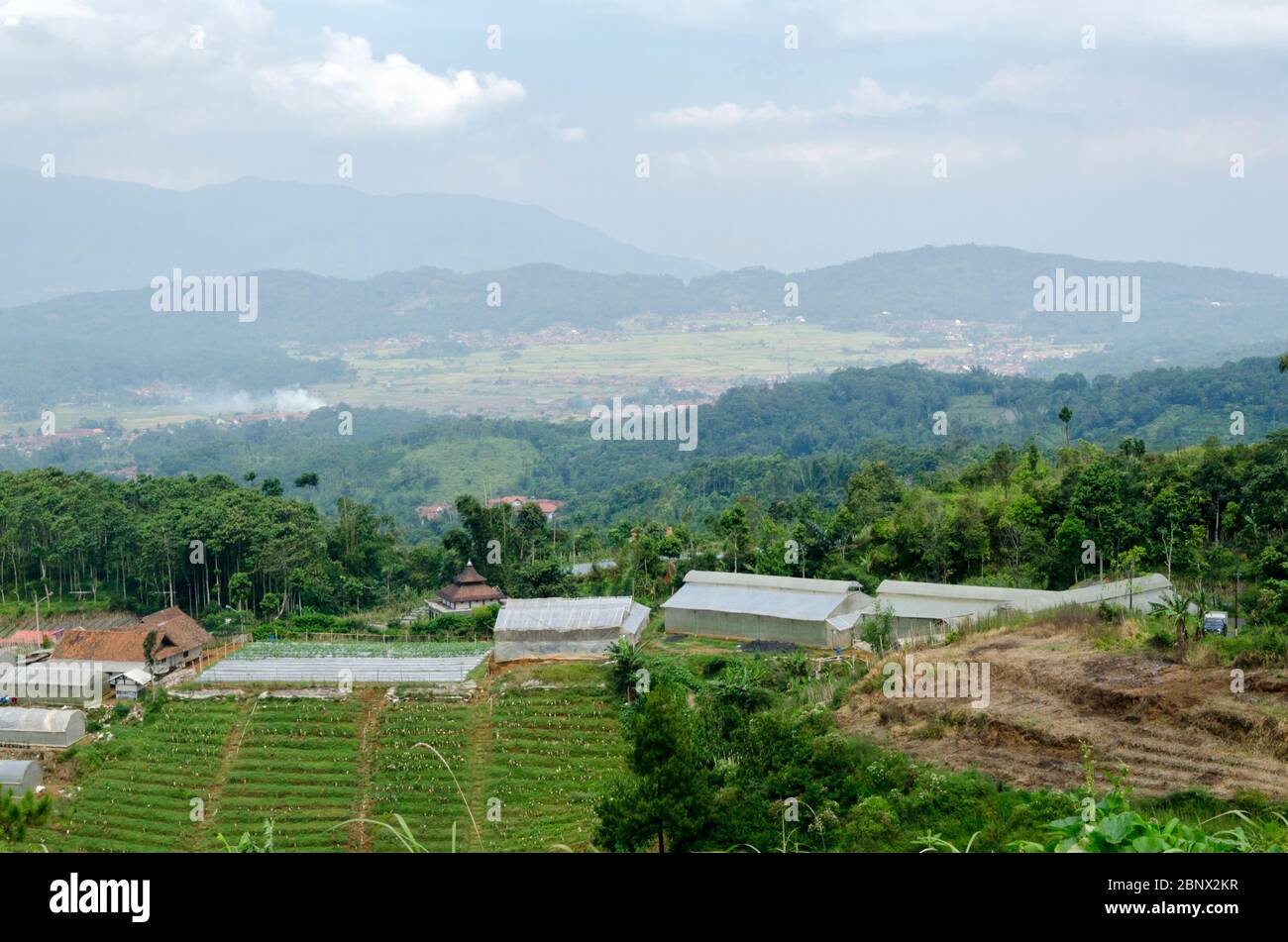 West java tea hi-res stock photography and images - Alamy