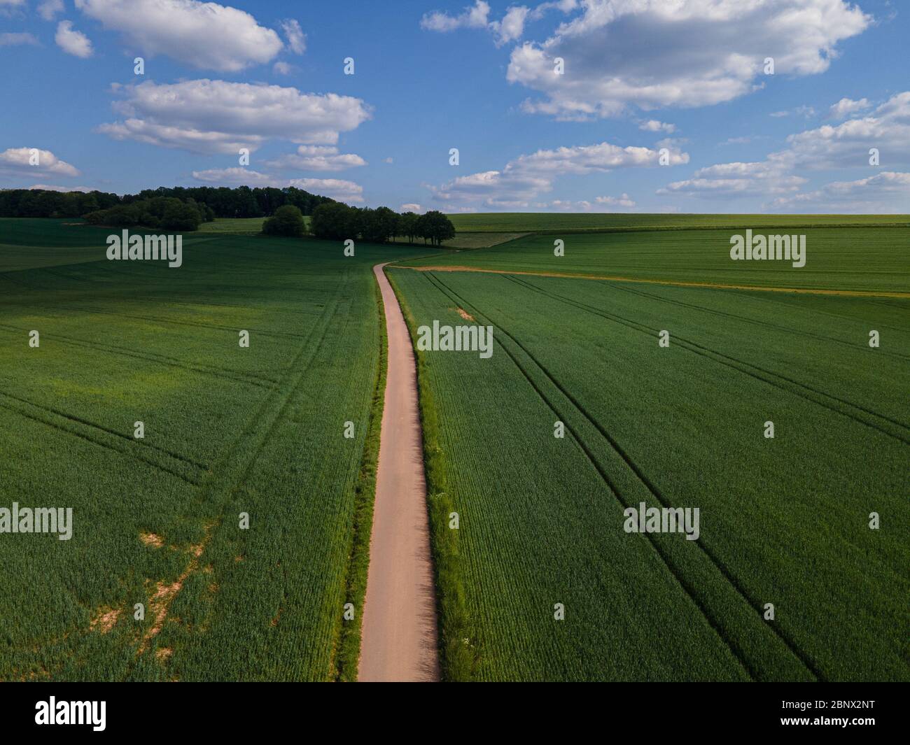 Path through farmland and green nature on a sunny day Stock Photo - Alamy