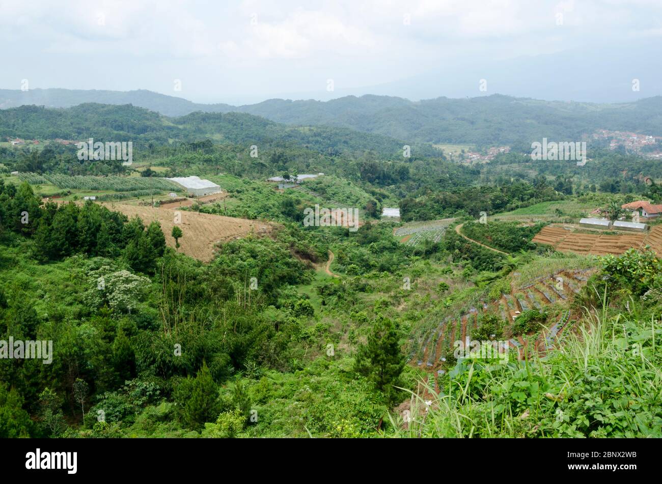Scenery of west java hi-res stock photography and images - Alamy