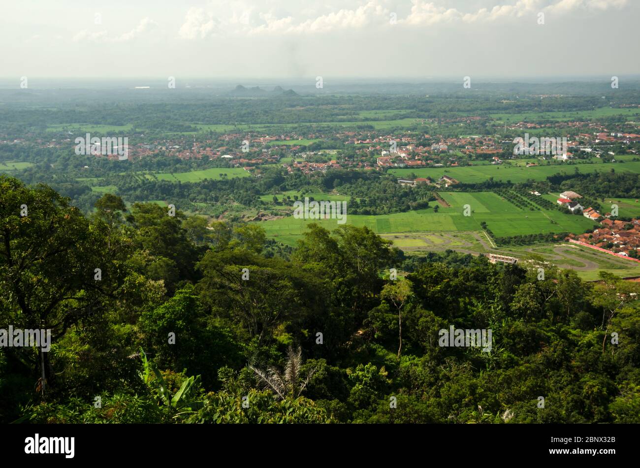 Tea plantation in west java hi-res stock photography and images - Alamy