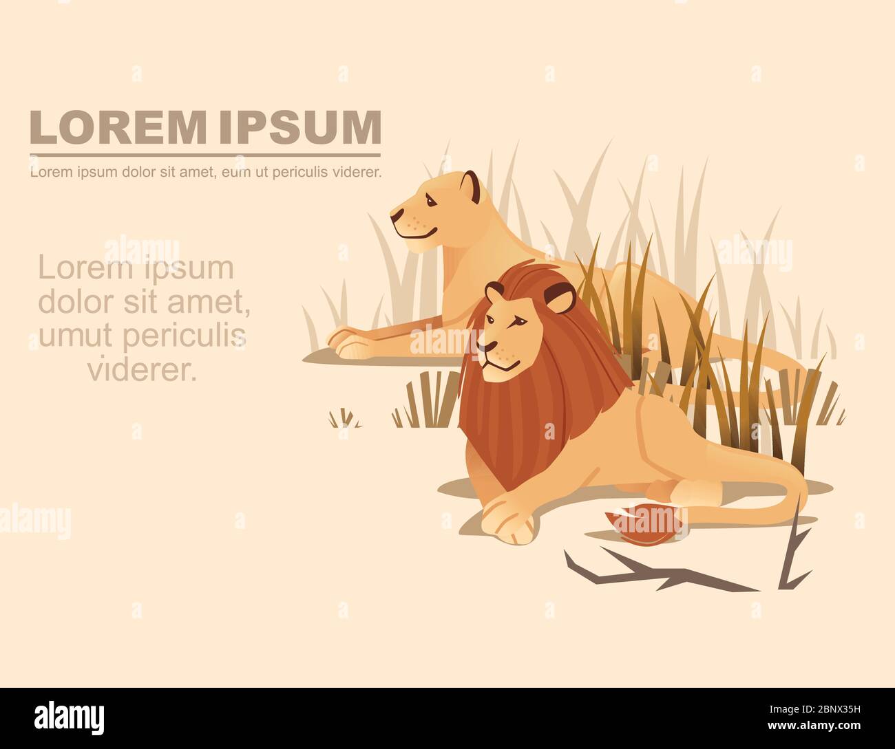 Advertising flyer banner design with pair of lions lying down in grass ...