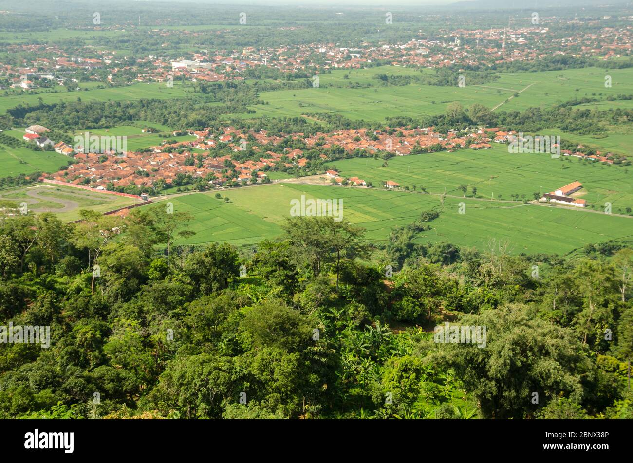 West java tea plantation hi-res stock photography and images - Alamy