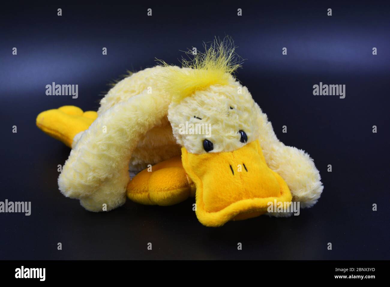 Yellow duck plush hi-res stock photography and images - Alamy