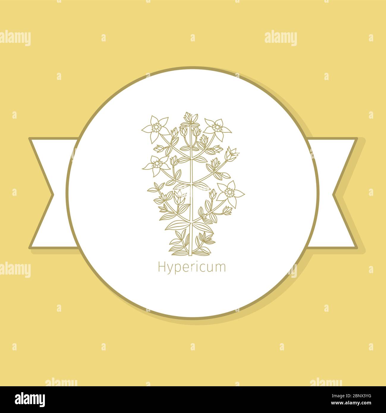 Hypericum medicine plant, yellow label design in circle shape. Vector ...