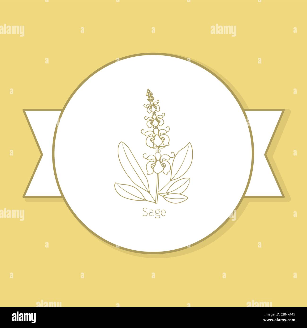 Sage medicine plant, yellow label design in circle shape and flat ...
