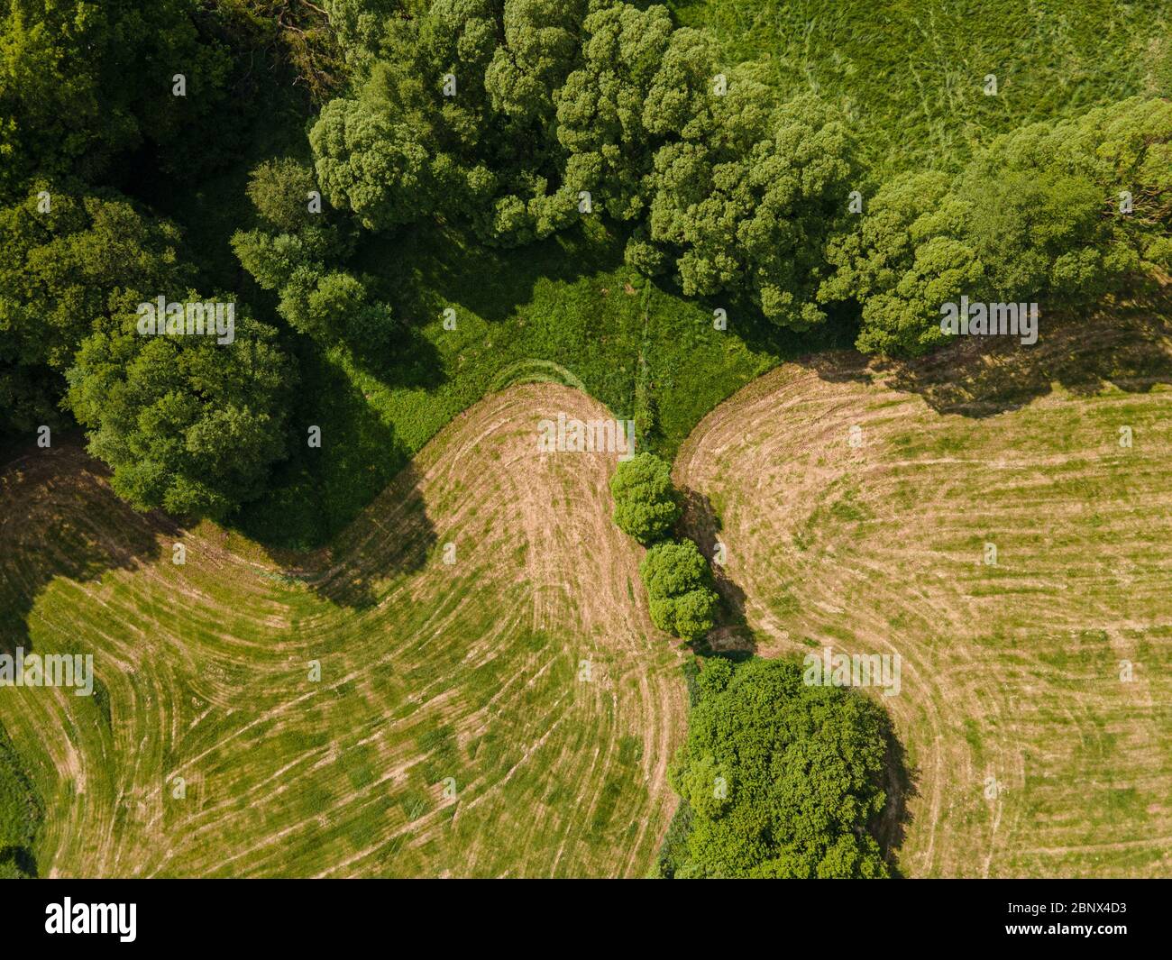 Agricultural fields from above - wonderful nature Stock Photo - Alamy