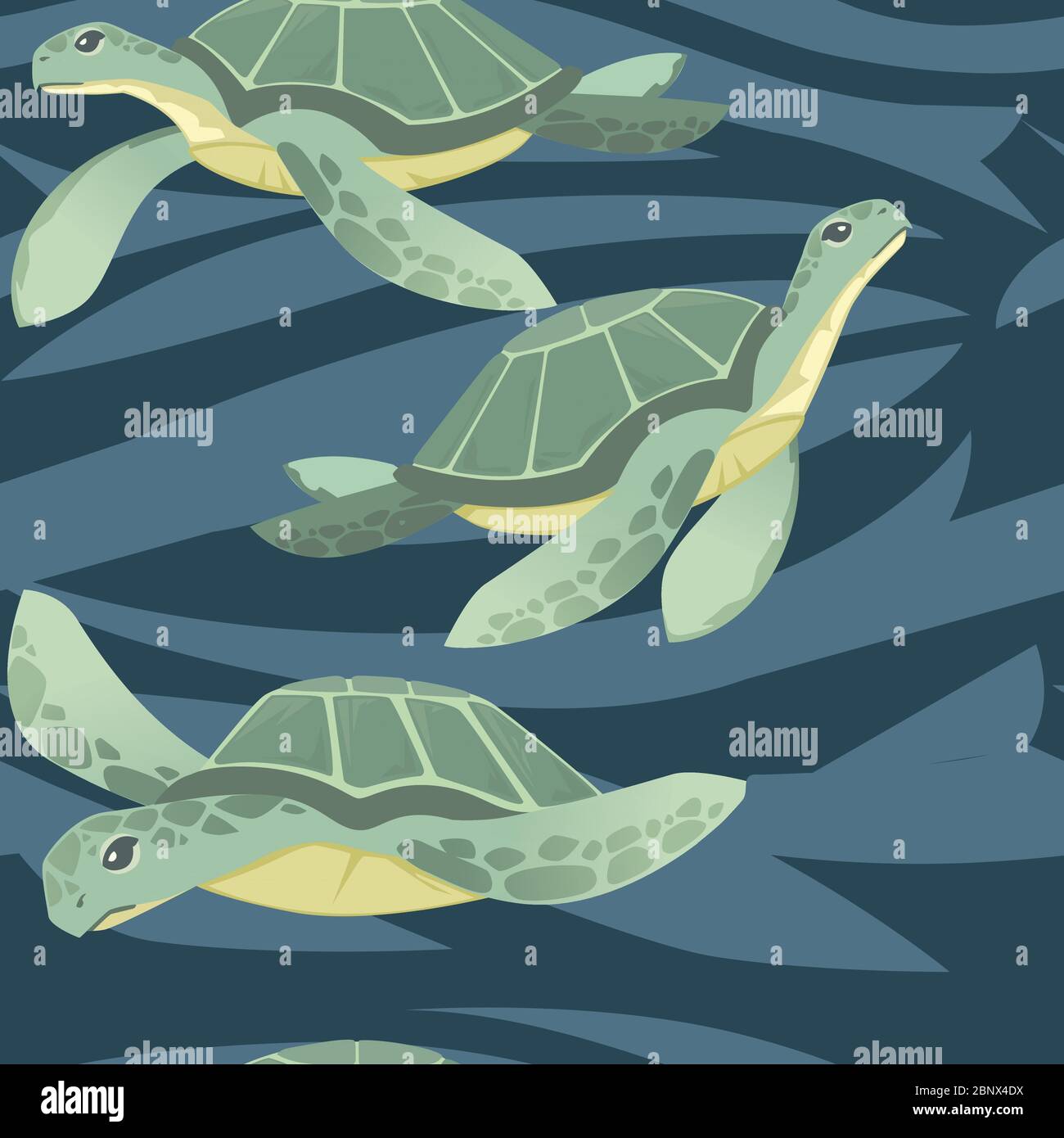 Green Sea Turtle Shell Pattern