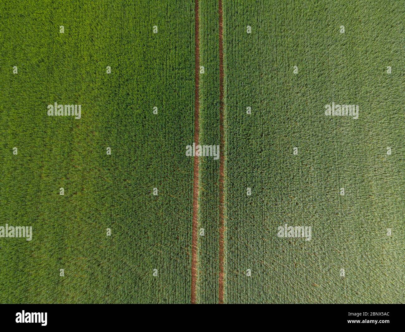 Agricultural fields from above - wonderful nature Stock Photo - Alamy