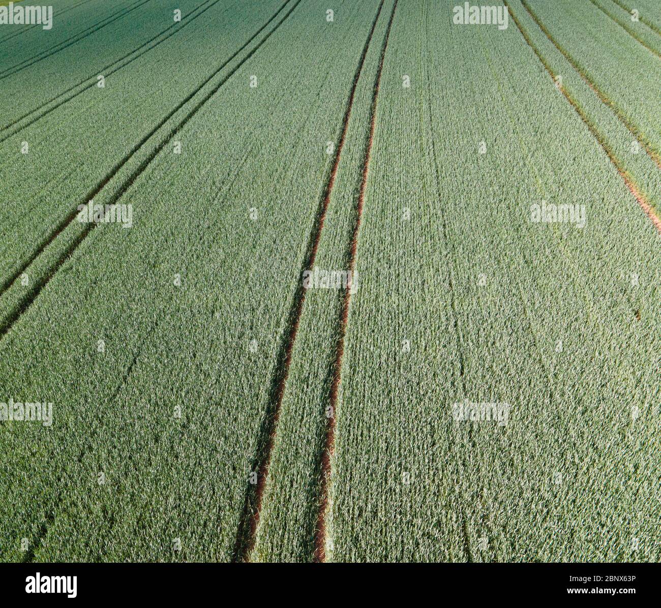 Agricultural fields from above - wonderful nature Stock Photo - Alamy