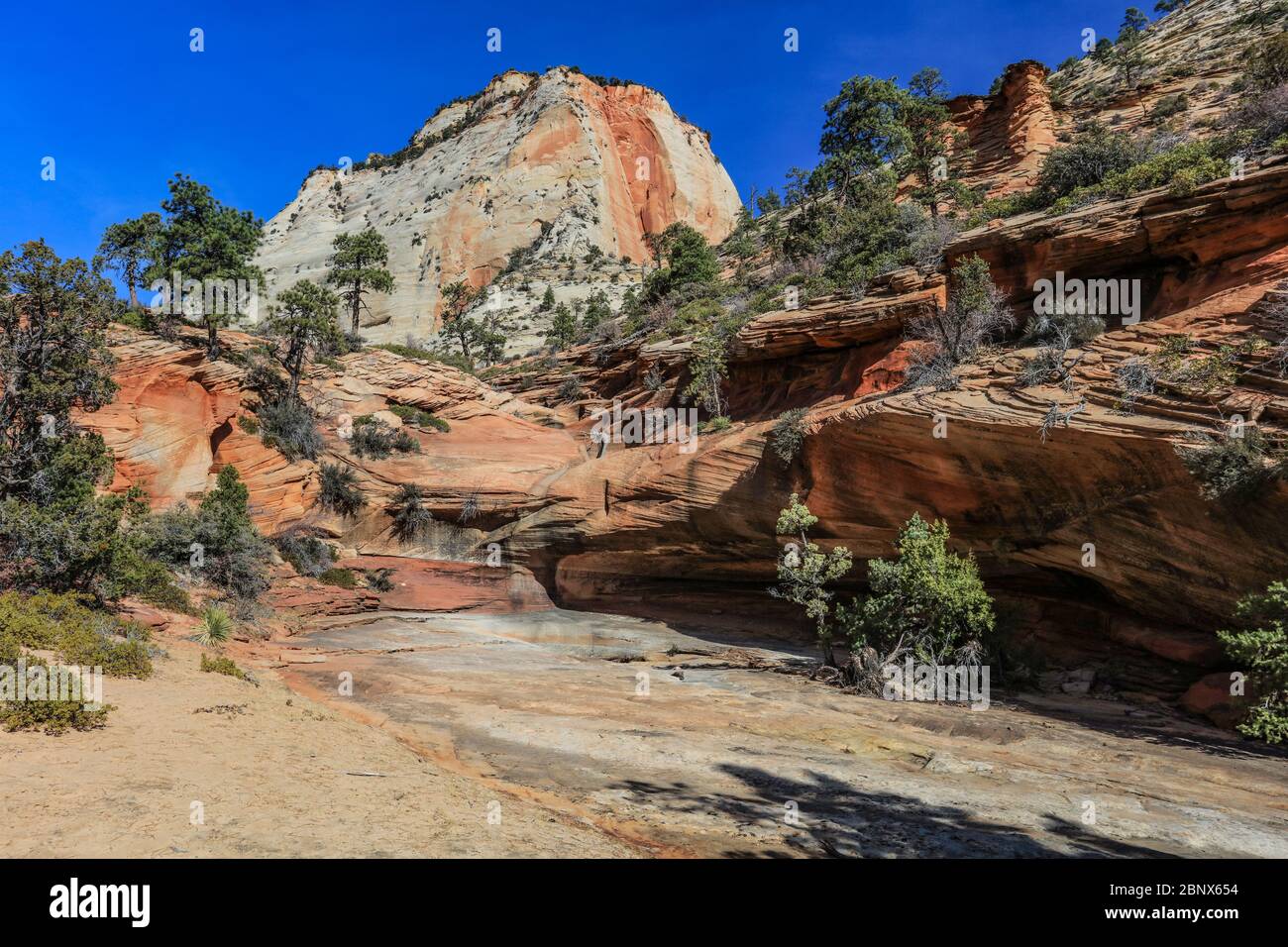 The Many Pools "trail" in Zion National Park, Utah Stock Photo - Alamy