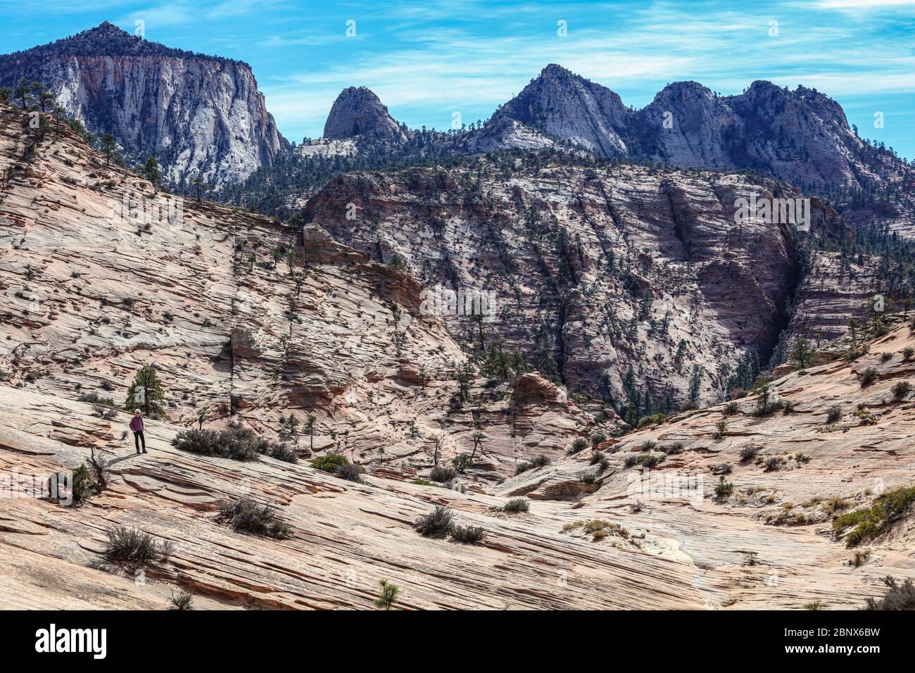 The Many Pools "trail" in Zion National Park, Utah Stock Photo - Alamy