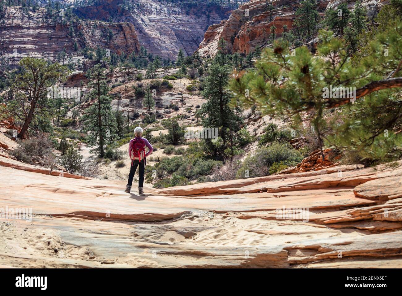 The Many Pools "trail" in Zion National Park, Utah Stock Photo - Alamy