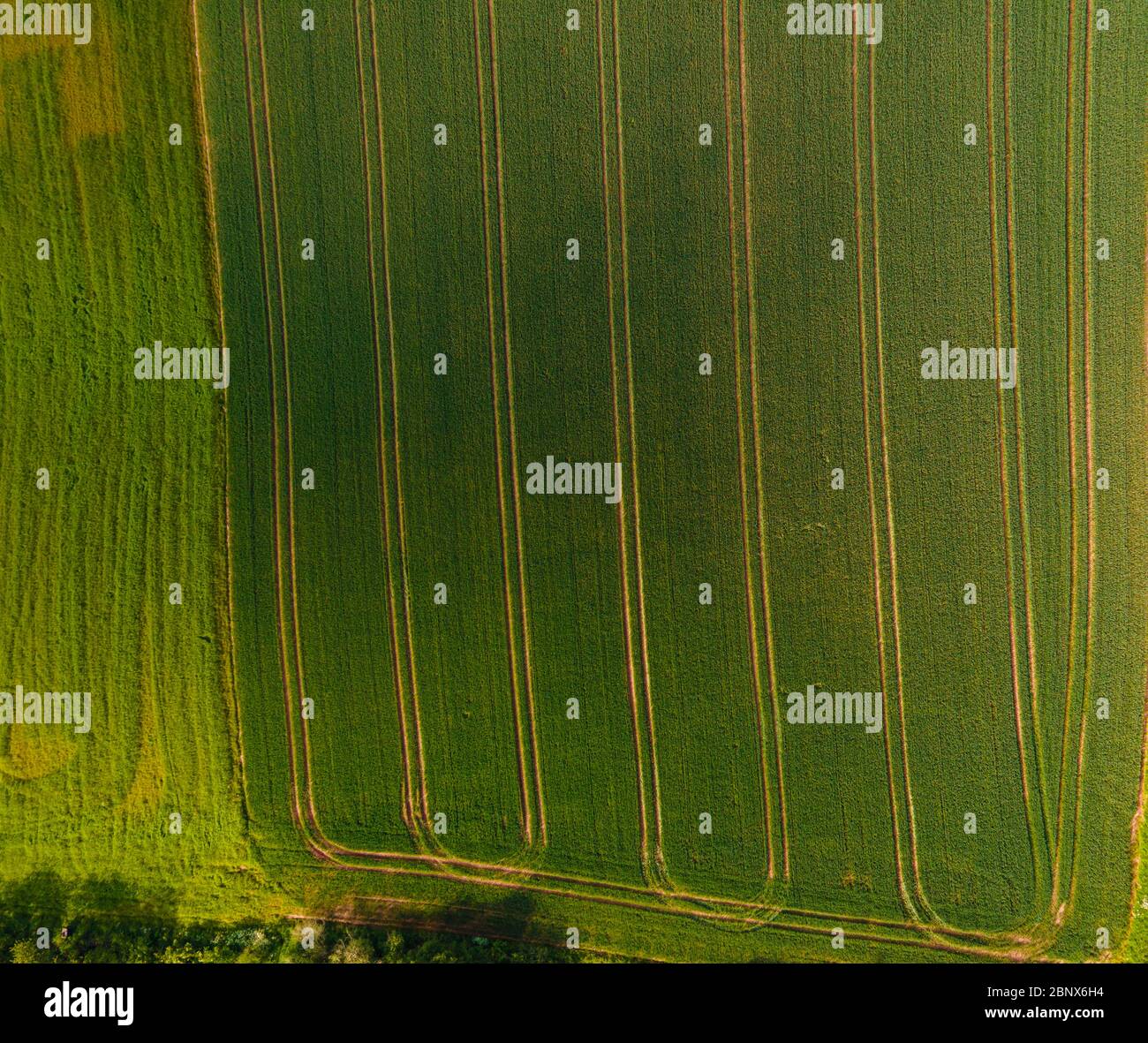 Top-Down view over agricultural farmlands Stock Photo - Alamy