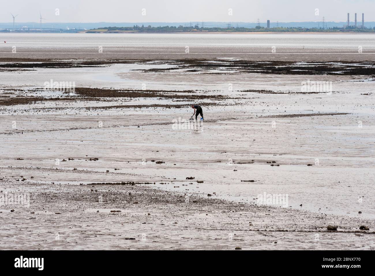 Southend on sea cockling hi-res stock photography and images - Alamy