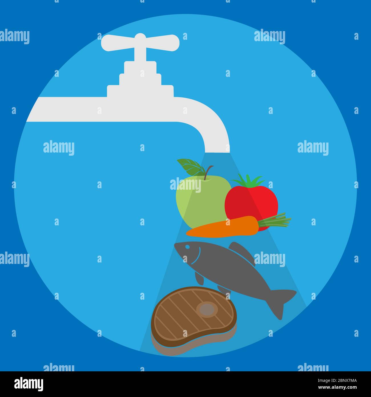 Washing vegetables, fruits, fish and meat, conceptual vector Stock ...