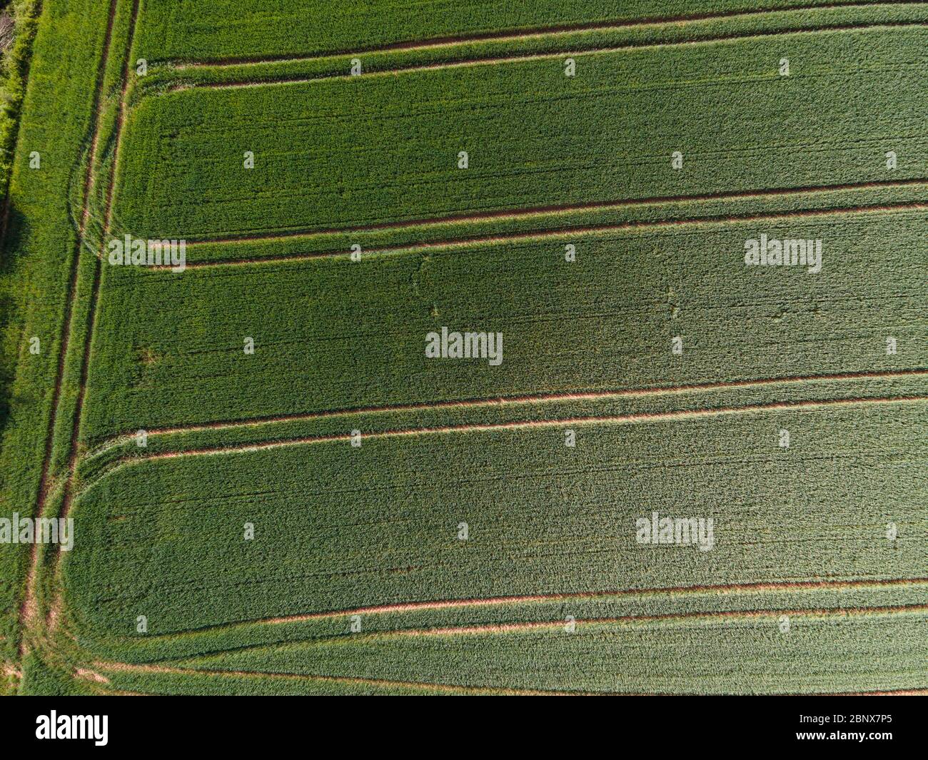 Agricultural fields from above - wonderful nature Stock Photo - Alamy
