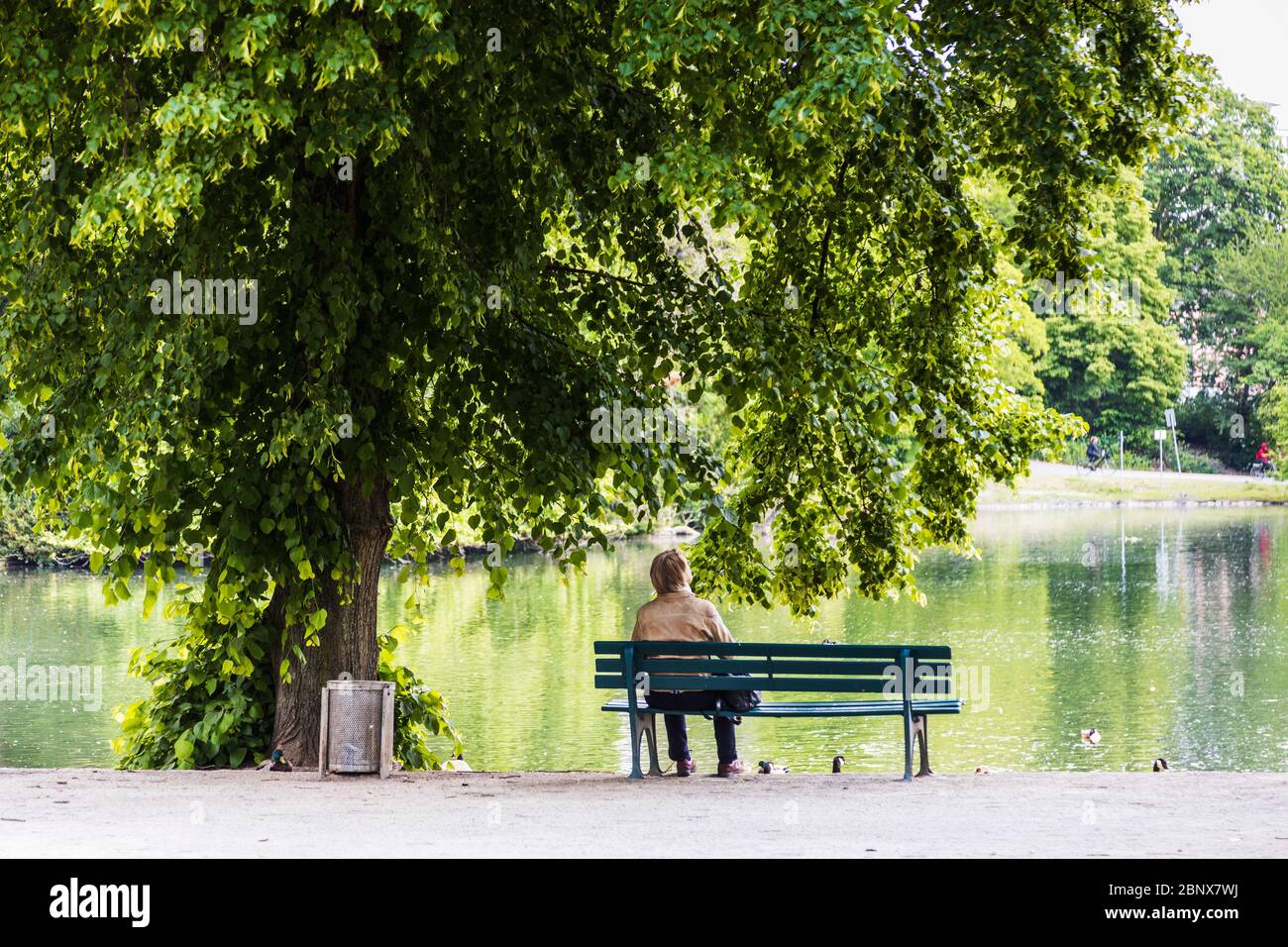 Sitting under trees hi-res stock photography and images - Alamy