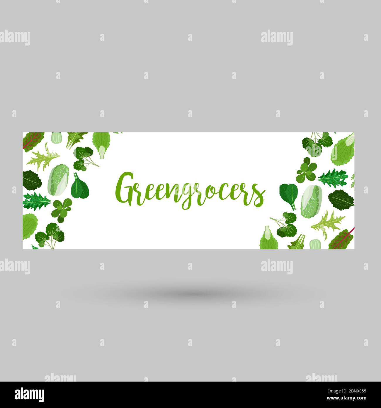 Greengrocers flyer or header with green salad vegetable leaves on white ...