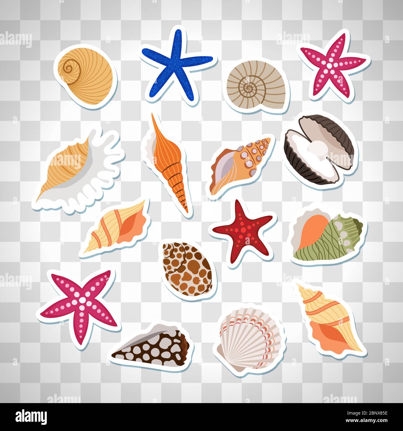 Sea shells cute stickers, vector set on the transparent background ...