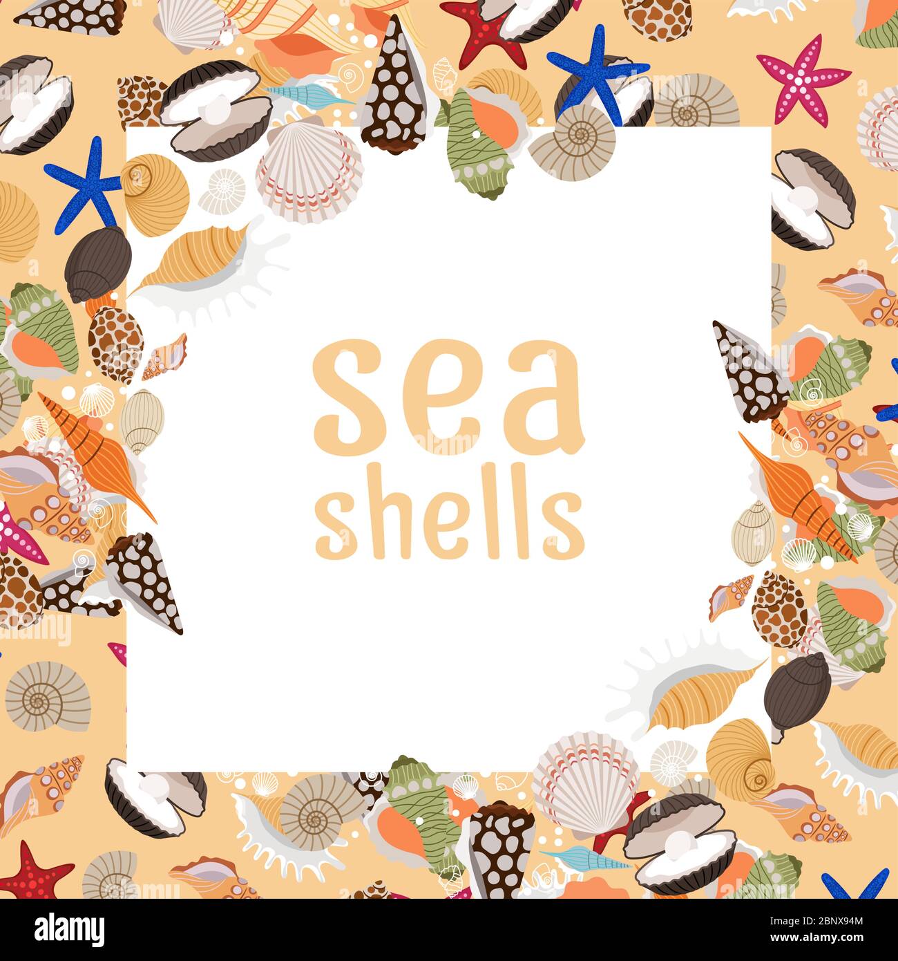 Sea shells background with square frame and text. Vector illustration ...