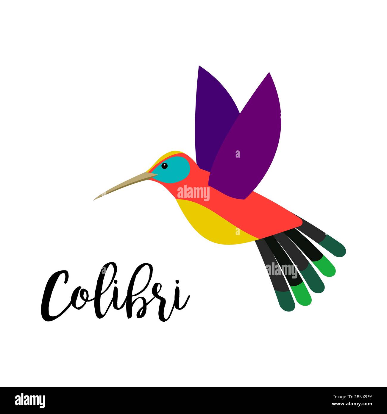 Exotic tropical bird isolated on white background. Colibri bird vector ...