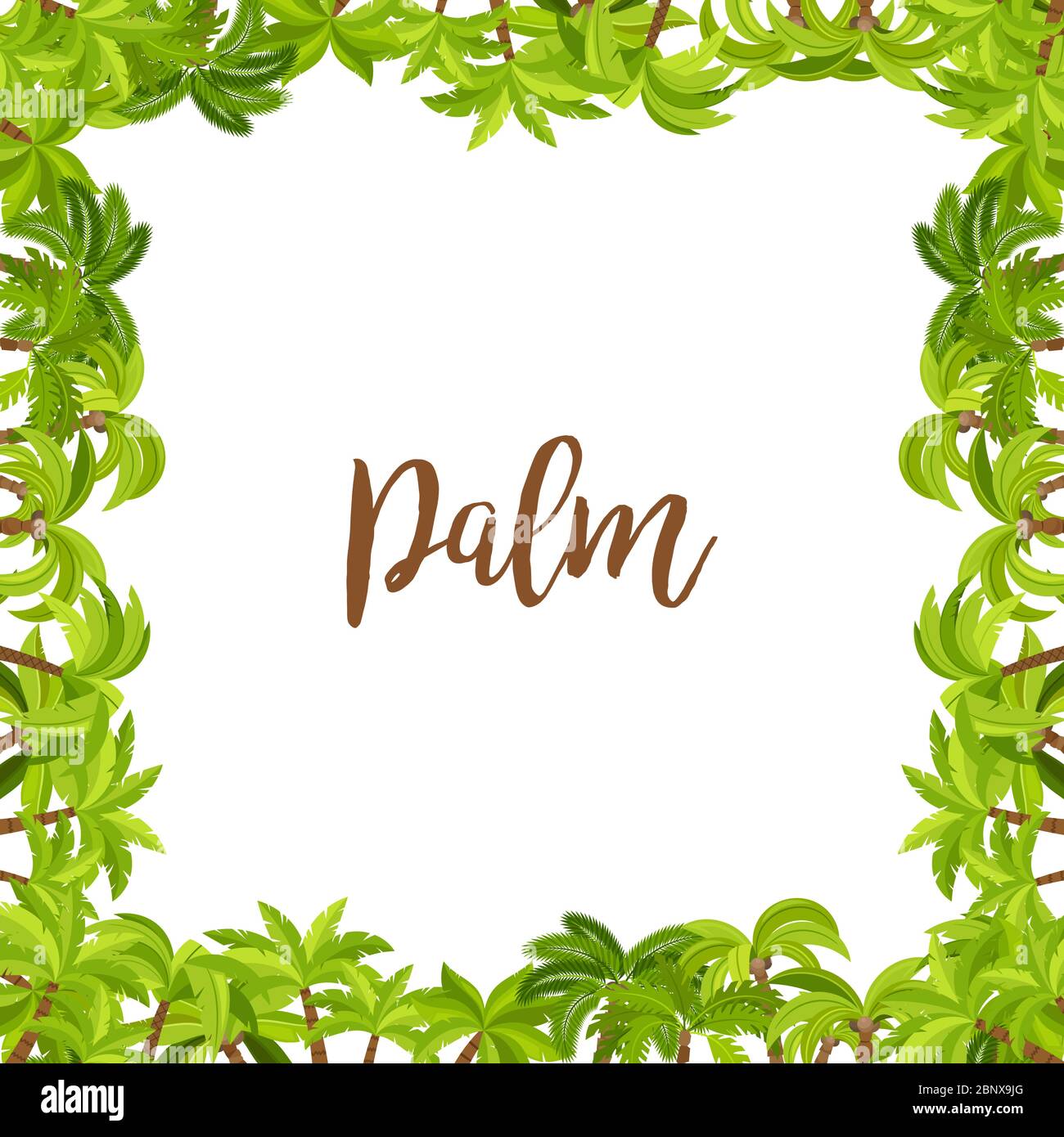 Beautiful vector palm tree green square frame with text on white ...