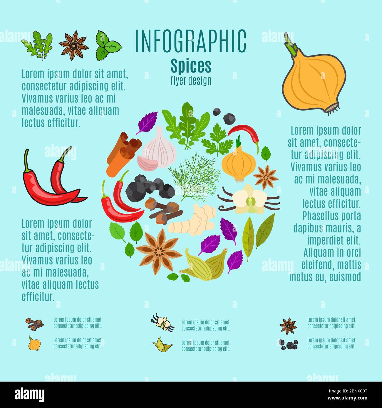 Spices vector infographic design with cartoon icons and text Stock ...