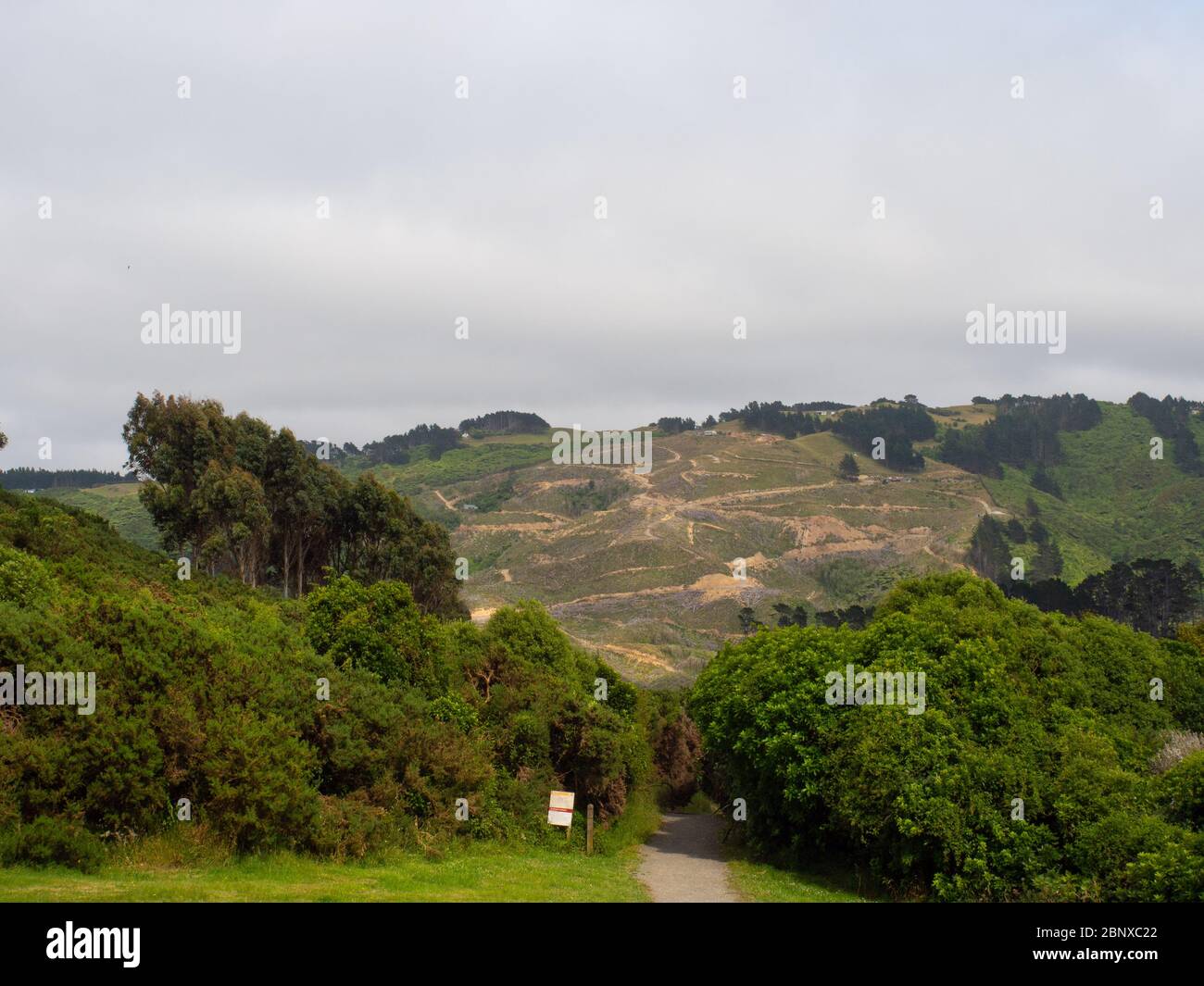Korokoro Dam Hiking Track Stock Photo - Alamy