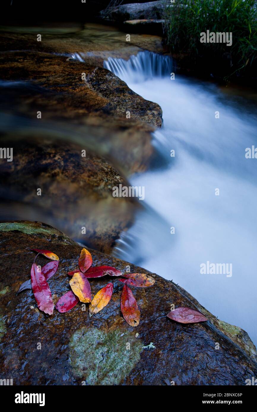 long exposure swirling water autumn leaves, rocks Stock Photo - Alamy