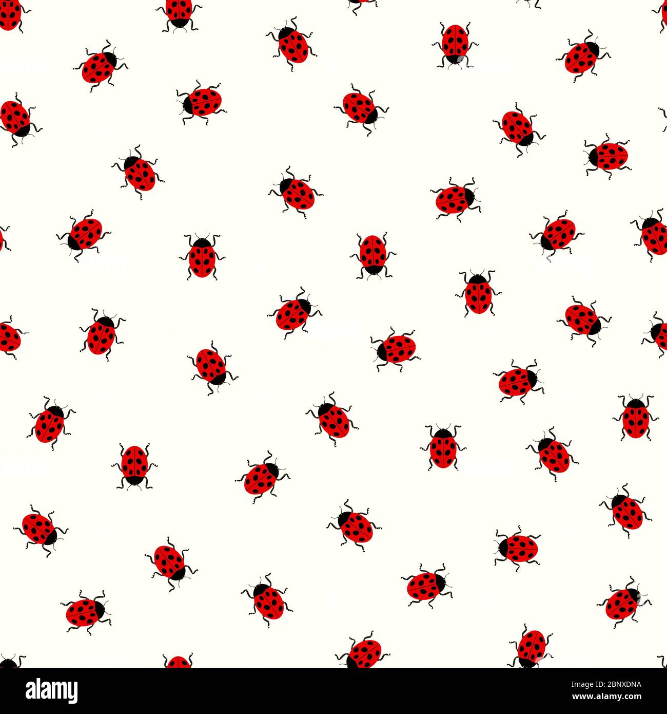 Ladybug cute pattern with white background. Vector illustration Stock ...