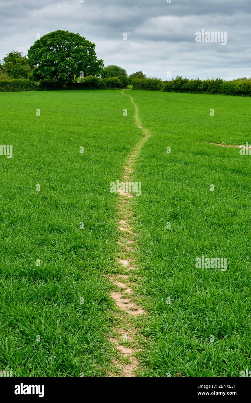 Cross field footpath hi-res stock photography and images - Alamy