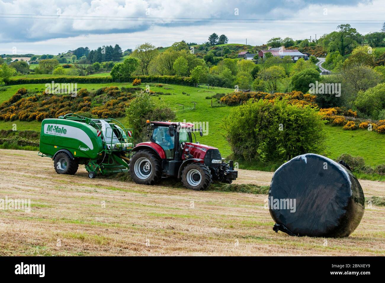 Collins in hi-res stock photography and images - Alamy