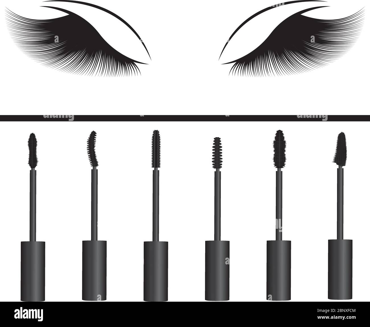 A girl's eyelashes and types of mascara Stock Vector Image & Art - Alamy